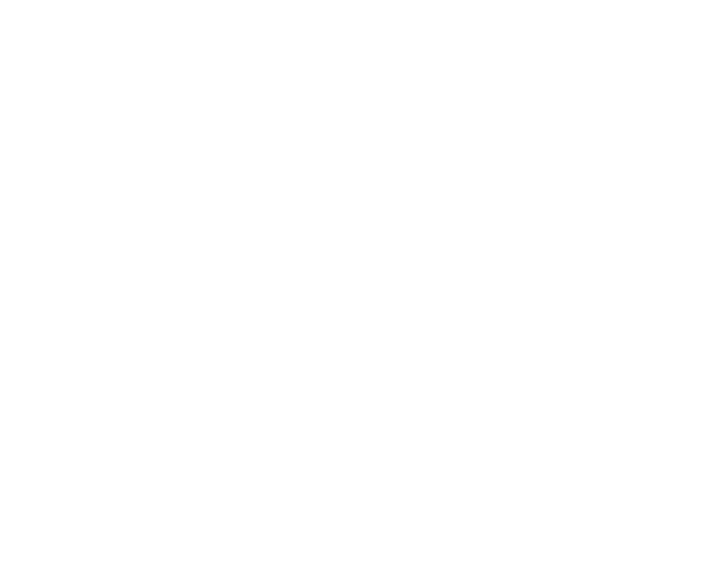 Gruas torre – Servicios Pingon Chile