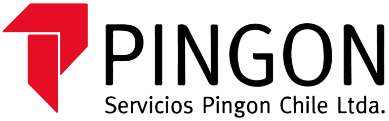 Gruas torre – Servicios Pingon Chile